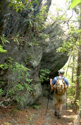 E-newsletter Hike news